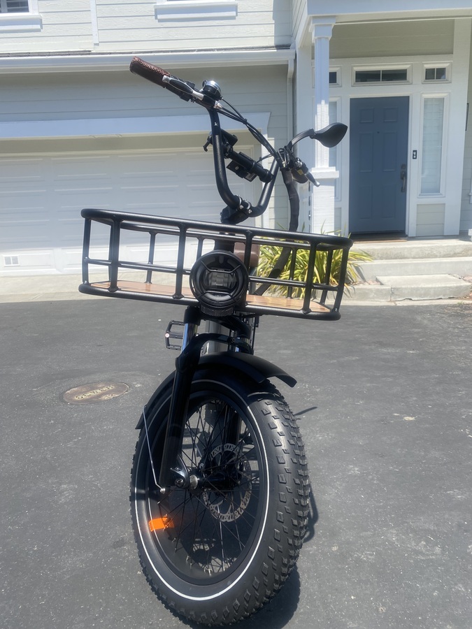 2020 Rad Power Bikes RadRunner Plus
