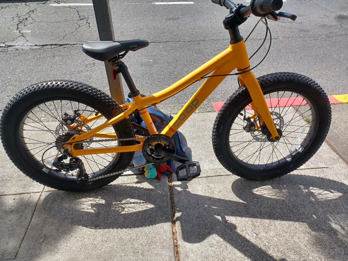 2024 REI Co-op REV 20 6-S