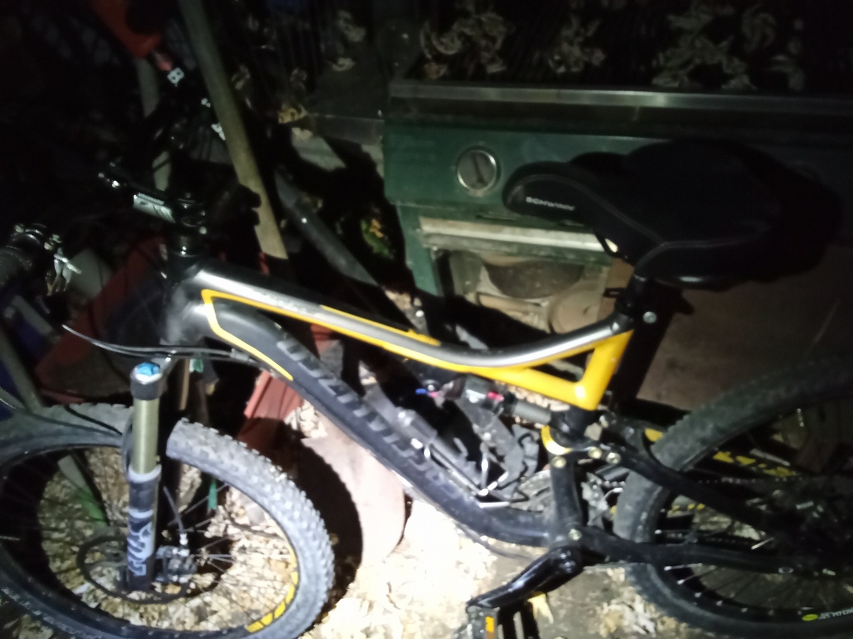 Specialized