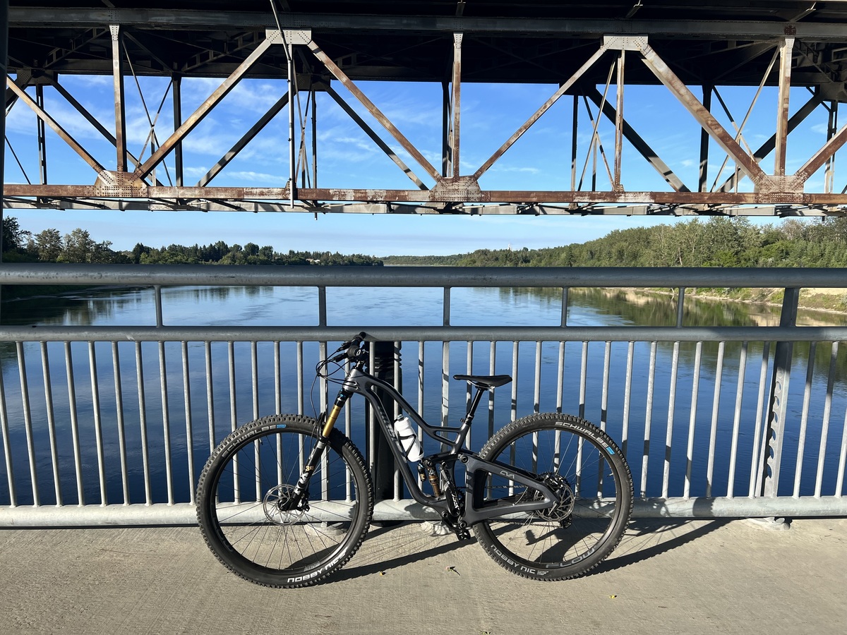 2024 Niner Jet 9 Rdo