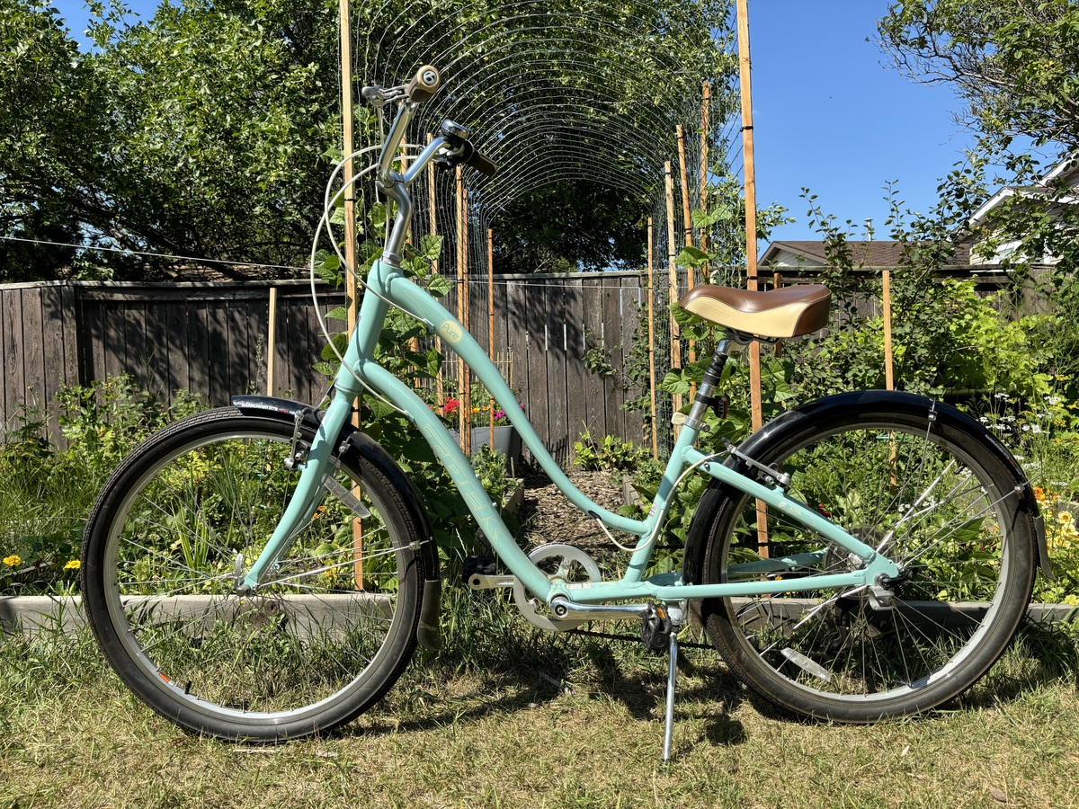 2011 Trek Pure Lowstep