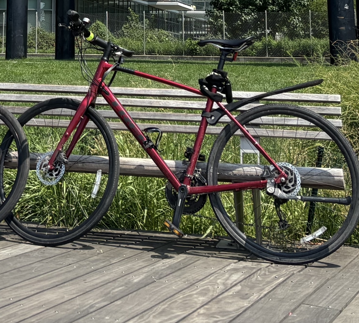 2021 Trek FX 3 disk L