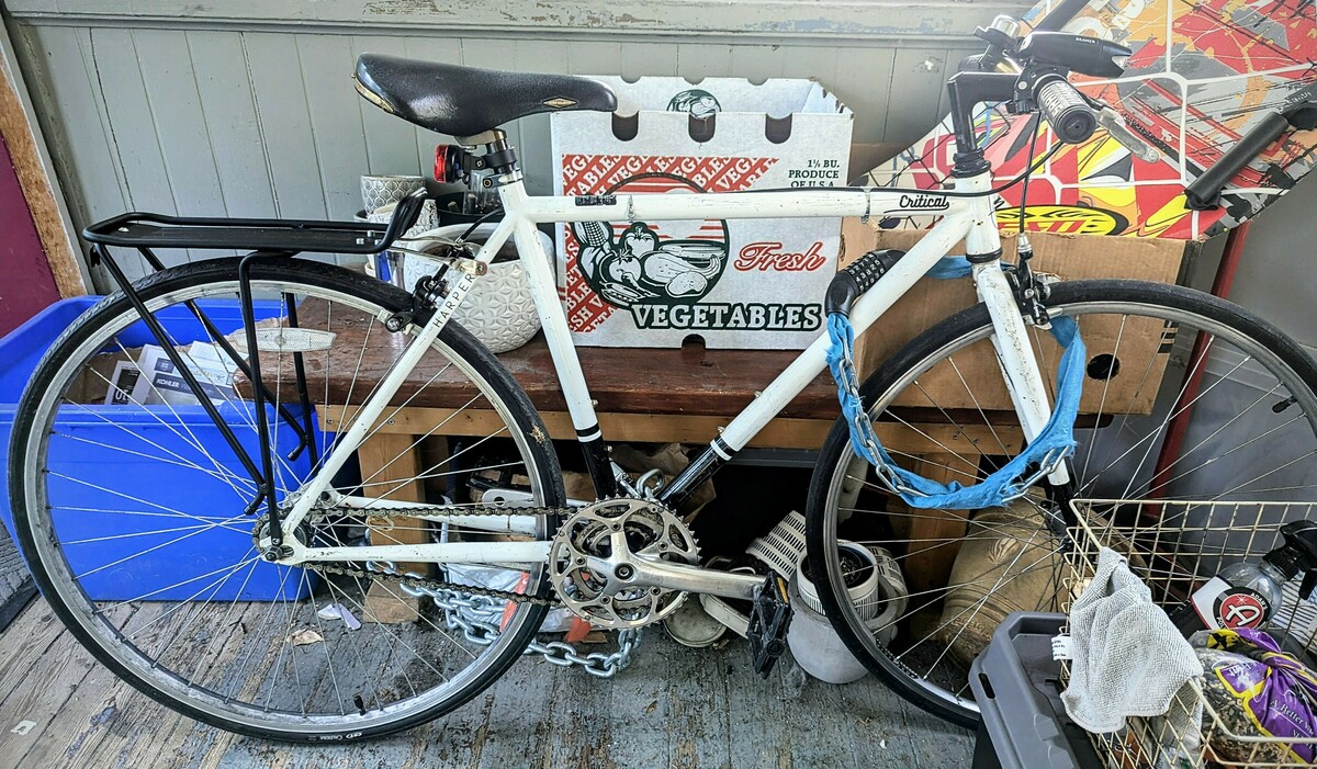 Critical Cycles Harper