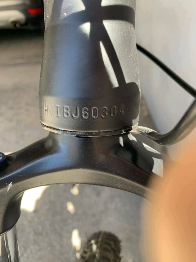 2020 NCM eBikes Moscow Plus