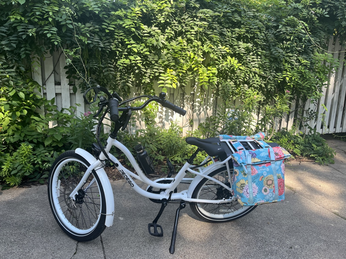 2024 Pedego Interceptor