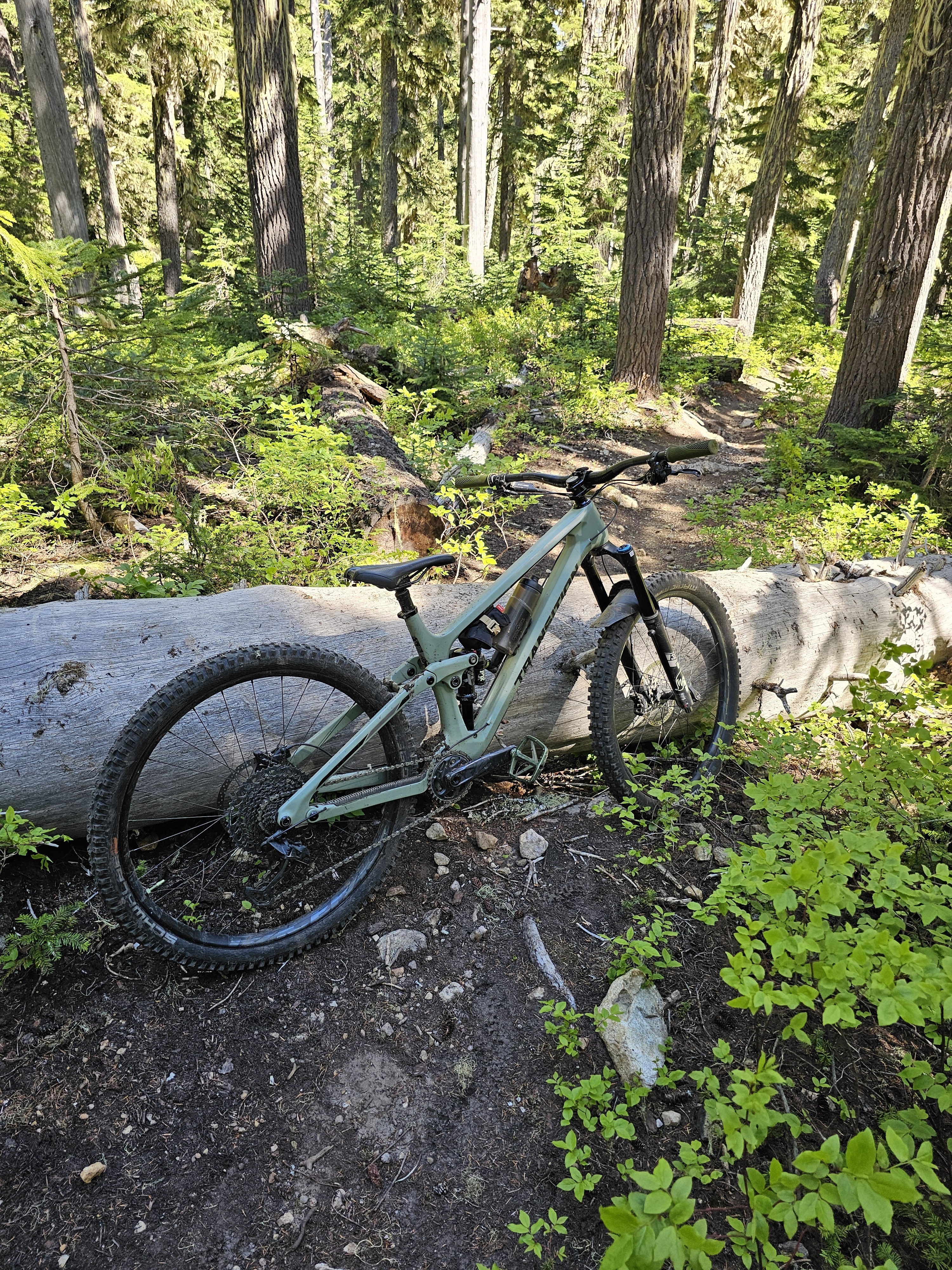 2023 Transition Bikes Sentinel