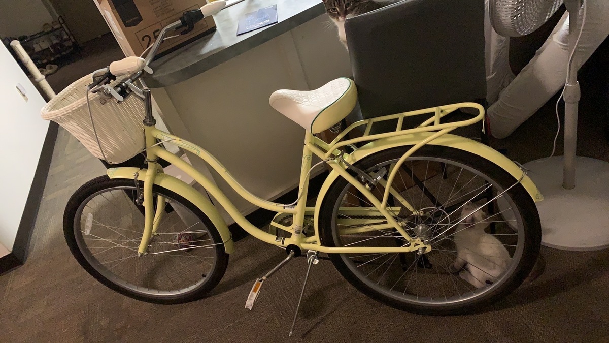 Pacific Cycle S5477D