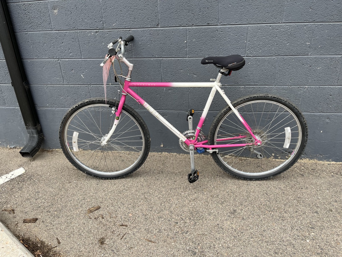 Trek Antelope