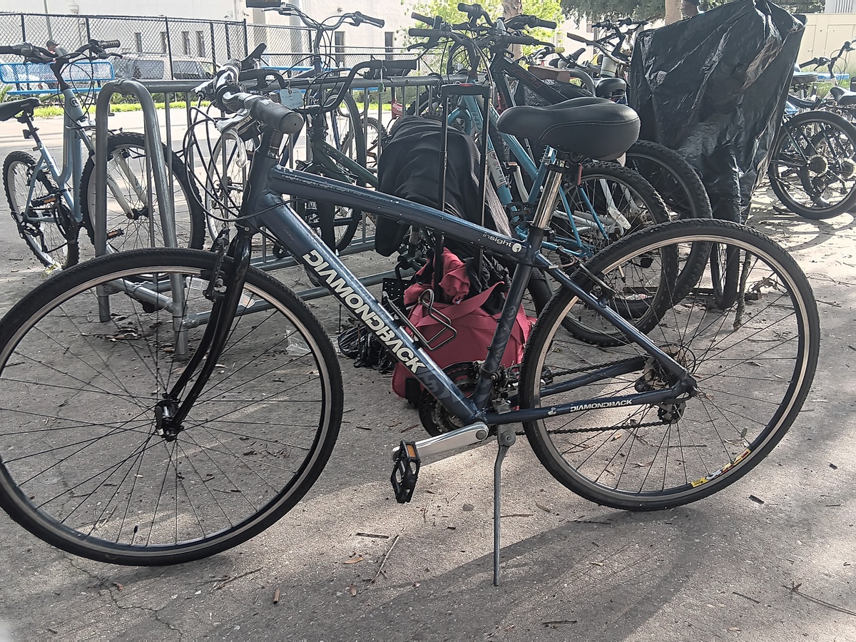 Diamondback Insight 1