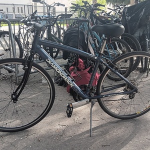 Diamondback Insight 1