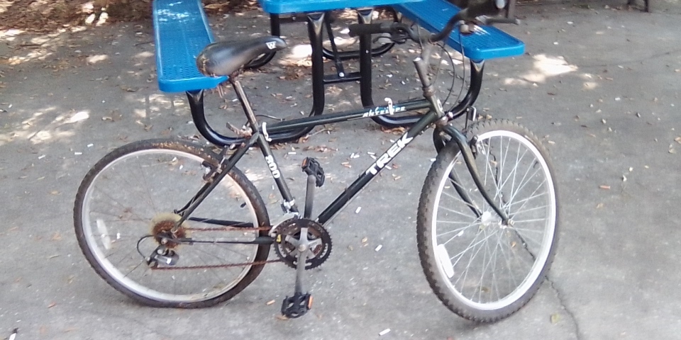 Trek Antelope 800