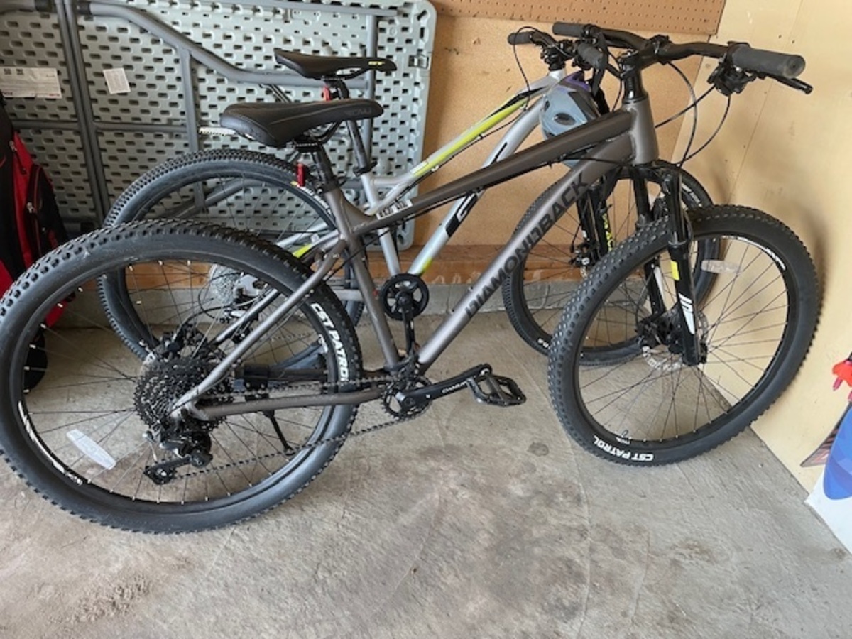 Diamondback Motown Medium Frame