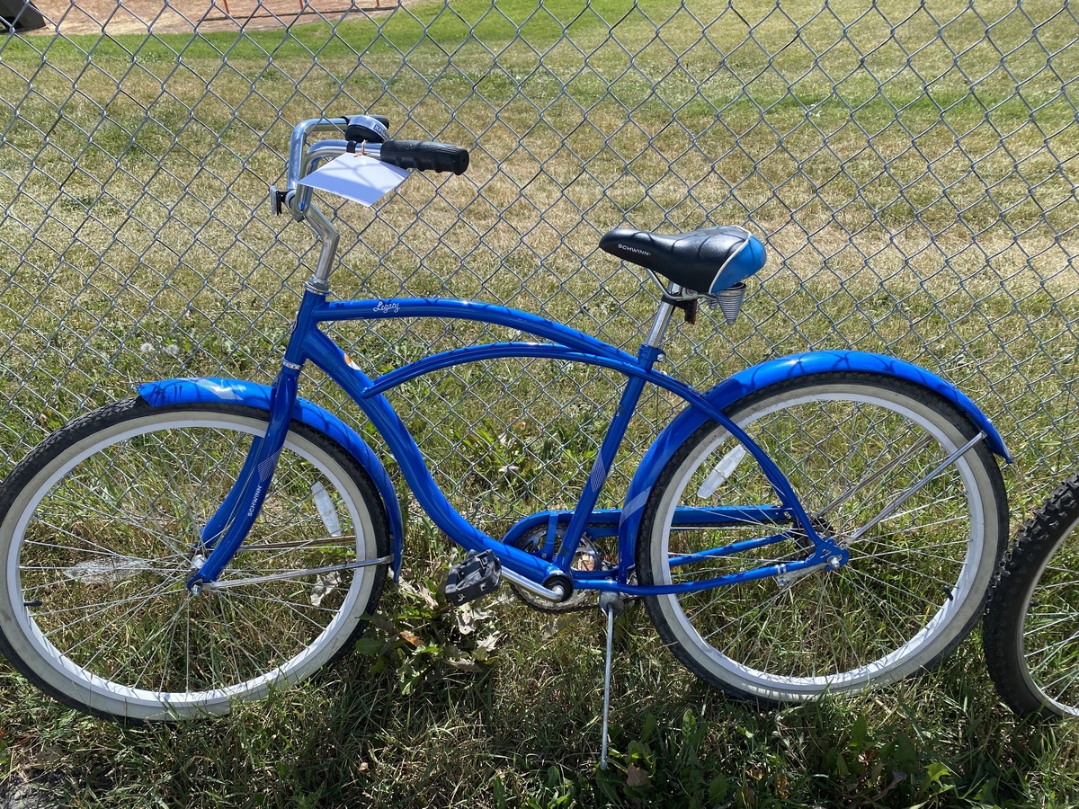 Shimano Arashi switch dx