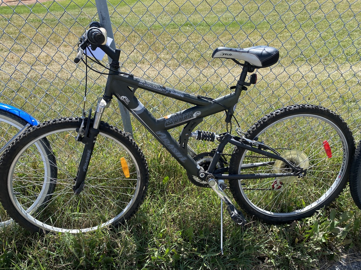 Shimano Arashi switch dx