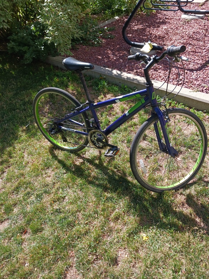 2024 Diamondback Insight