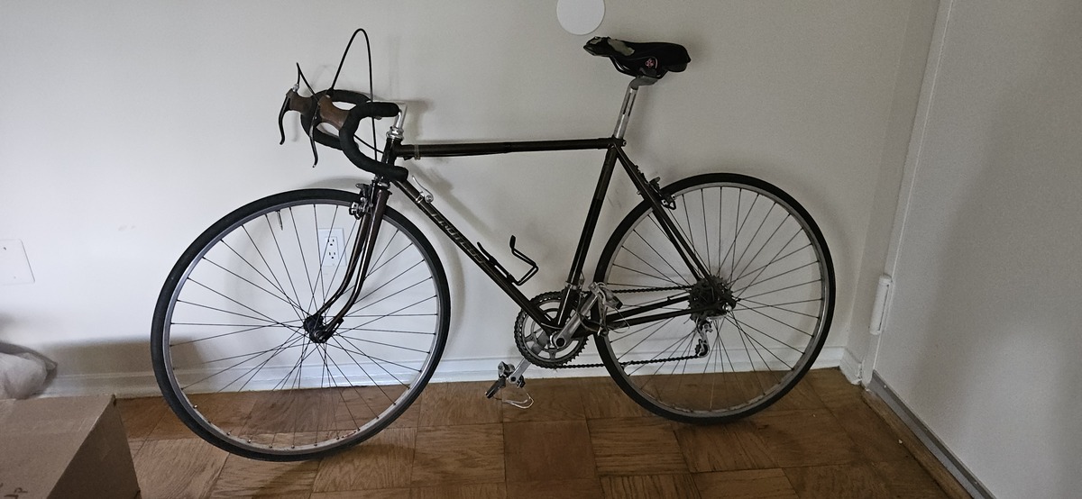 Torpedo Frame Torpedo