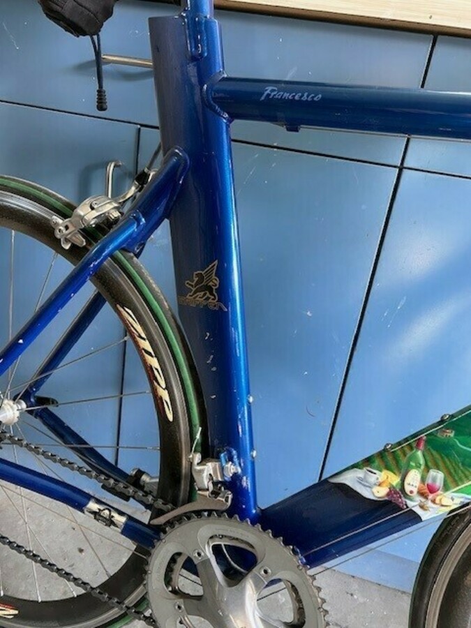 Griffin Triathlon bike