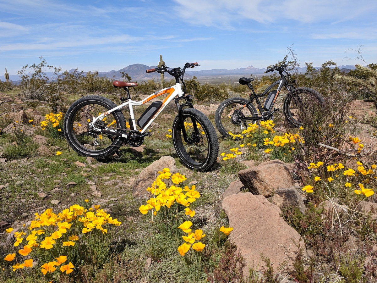 2019 Rad Power Bikes RadRover