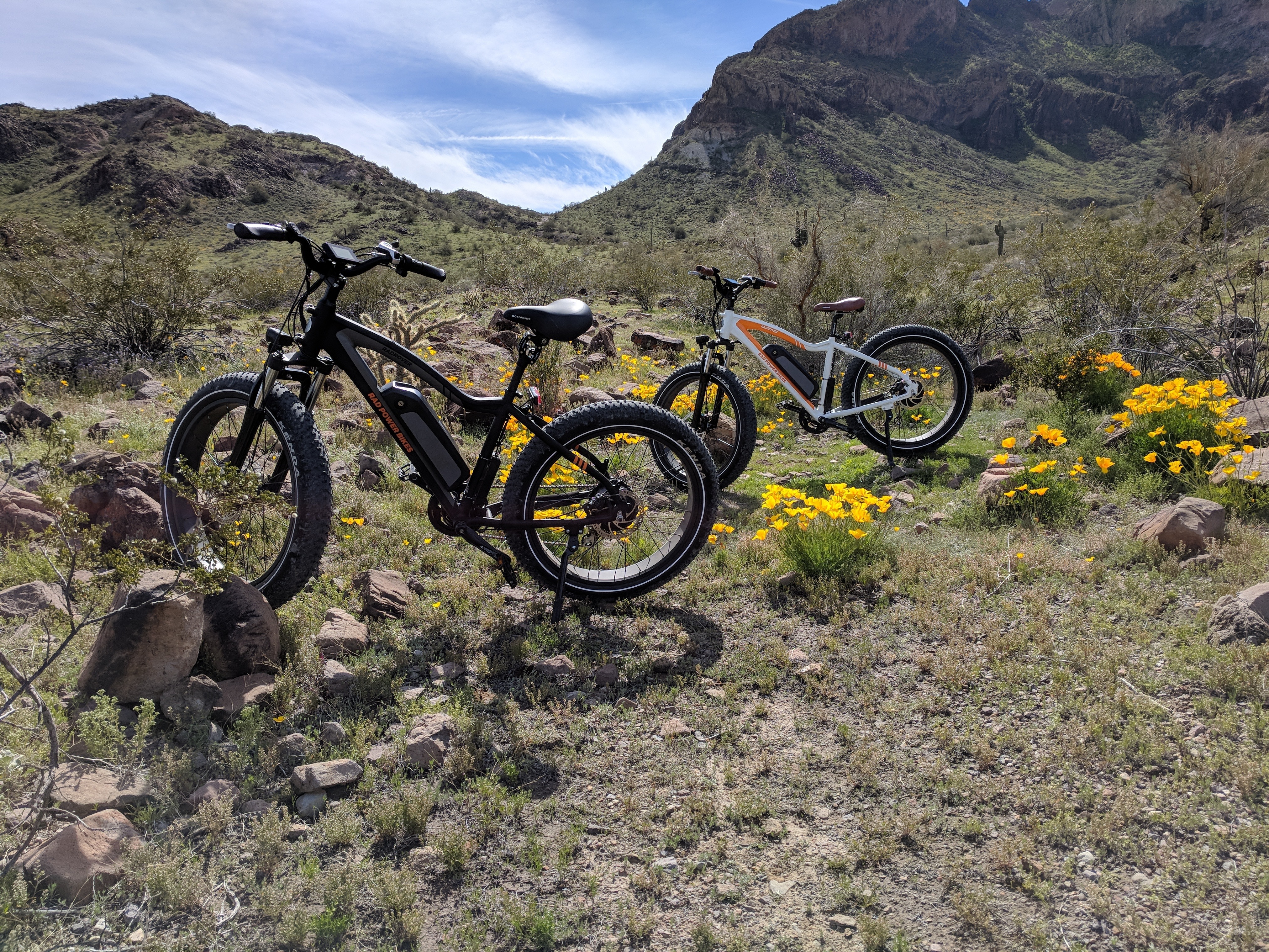 2019 Rad Power Bikes Rad Rover