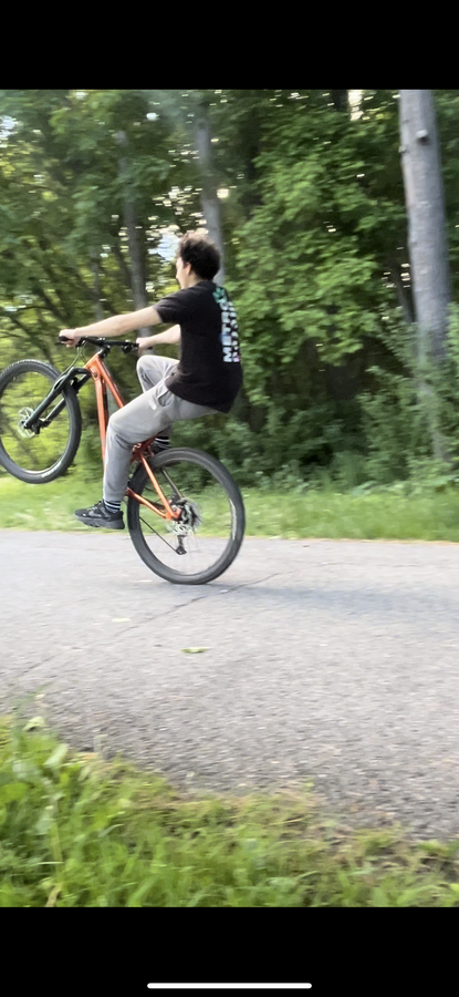 Stolen 2021 Norco Bikes Fluid fs2
