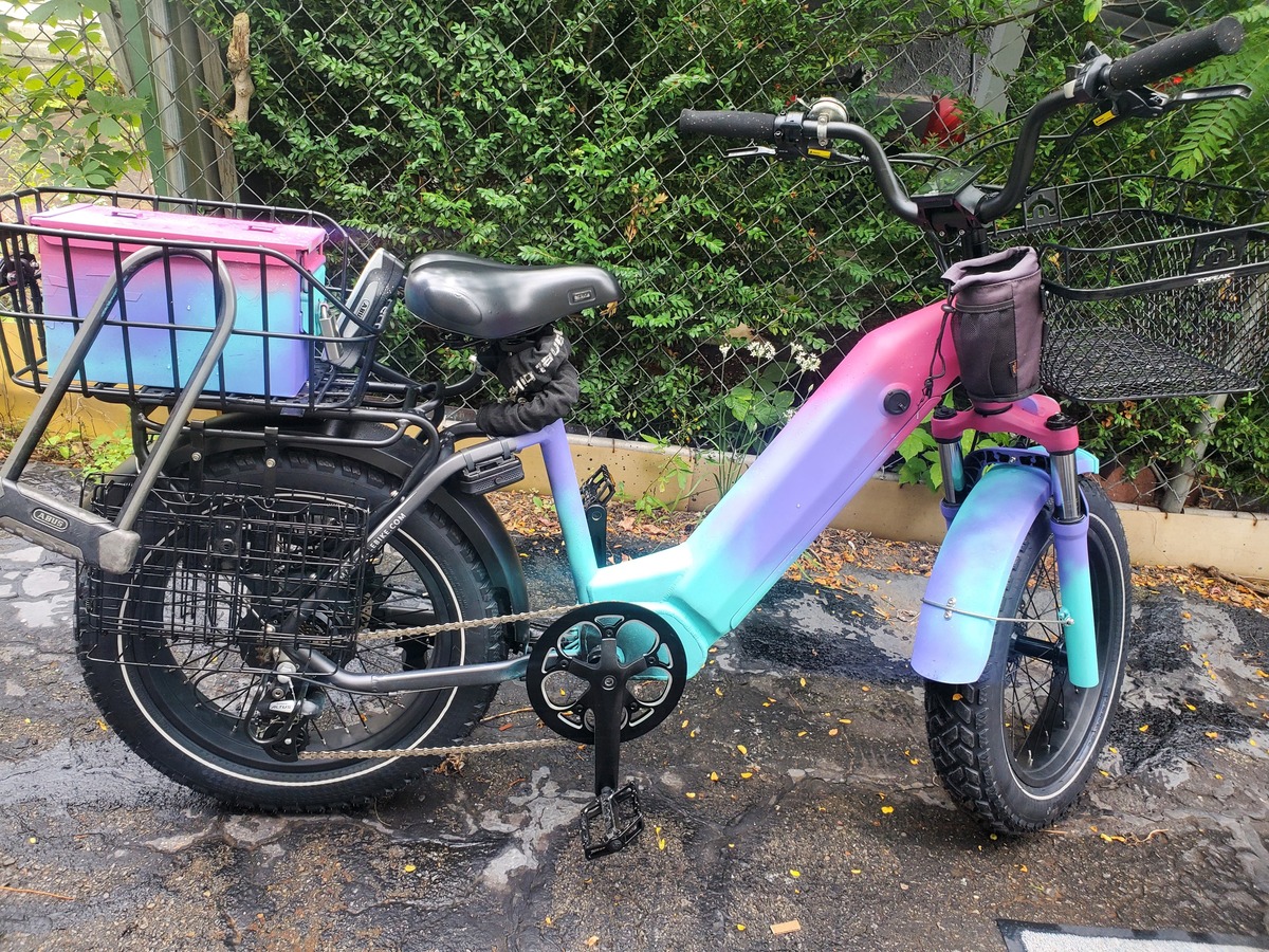 2024 Magicycle Ocelot Pro Step Thru
