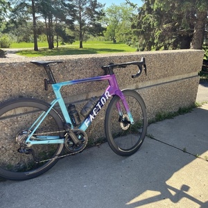 2022 Factor Ostro Vam