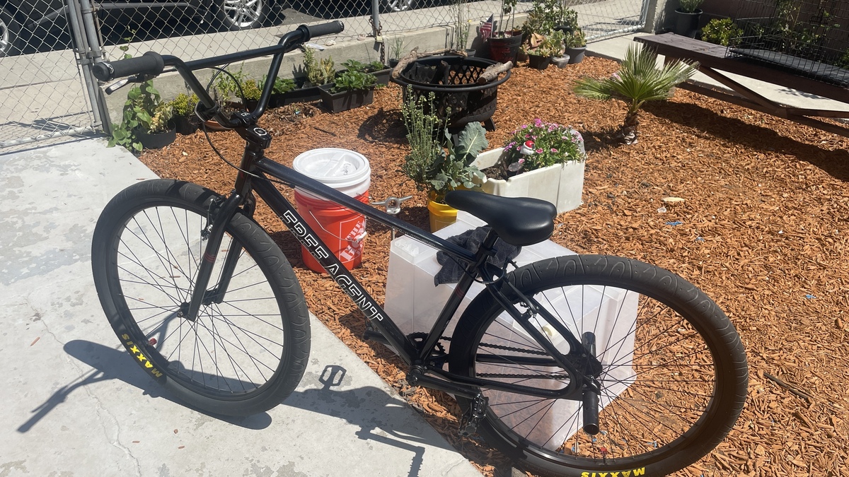 Free Agent Eluder 29