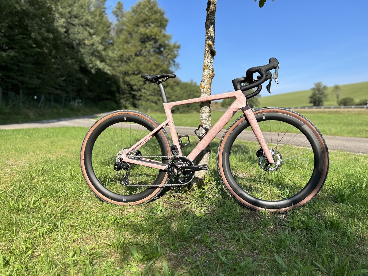 2024 Rose Backroad FF