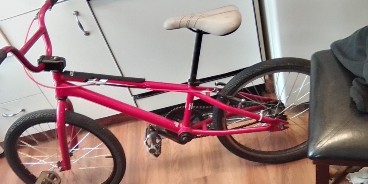 1992 Redline Bmx