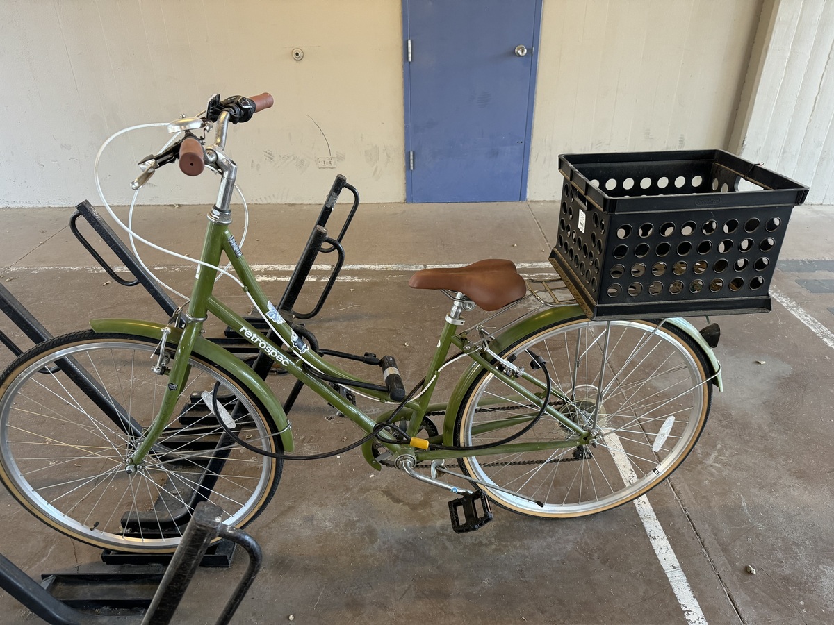 2021 Retrospec cruiser