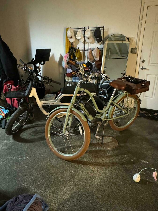 2023 Electra Ponto Go