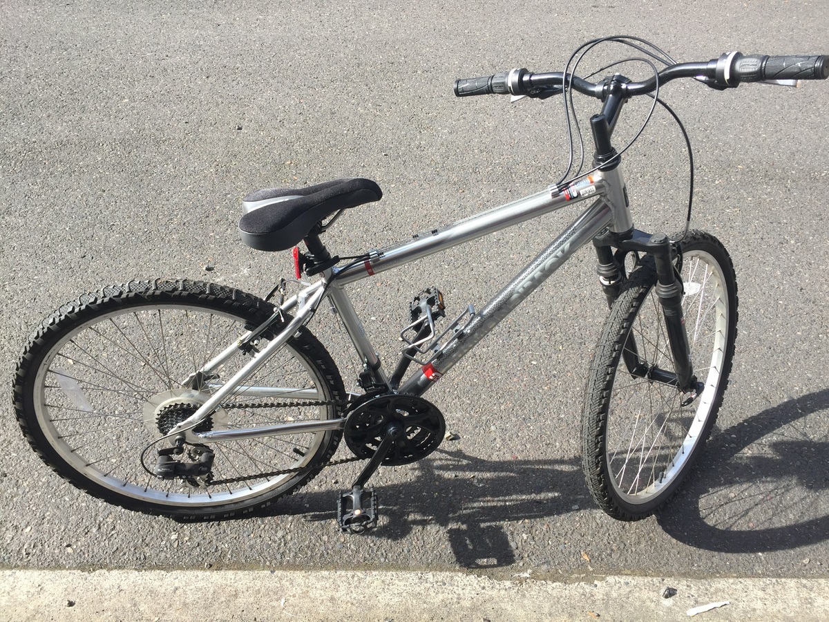 2008 Diamondback Outlook