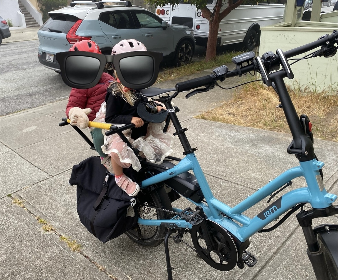 Stolen 2022 Tern HSD S11