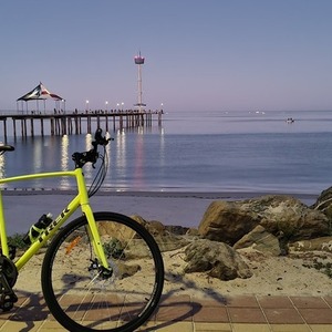 2020 Trek FX1 Disc