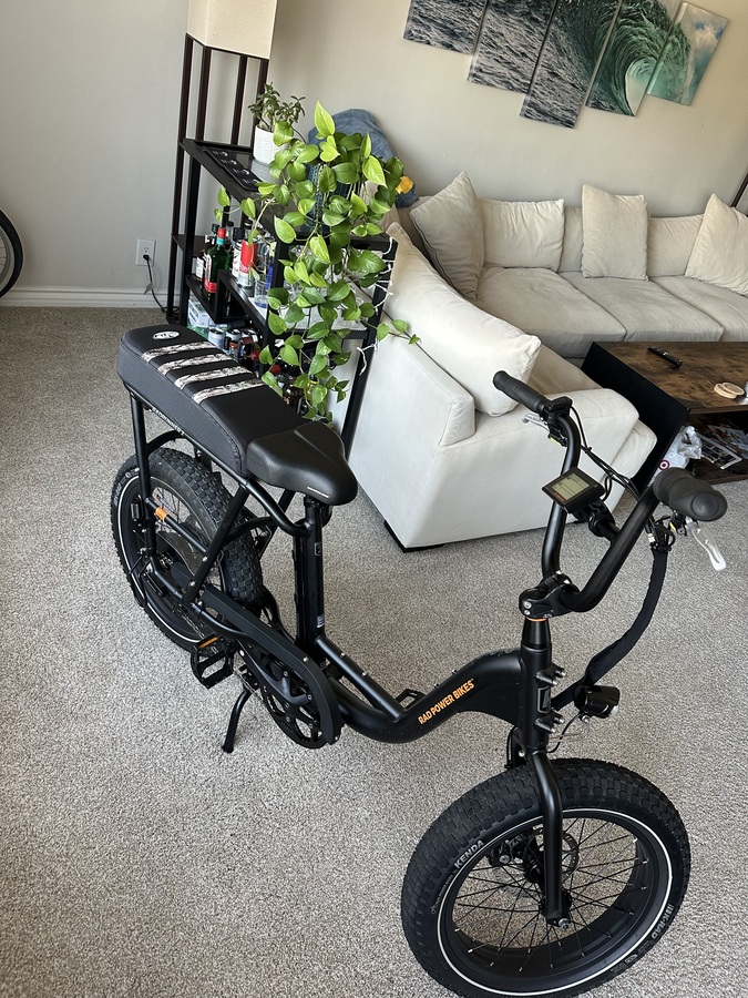 2024 Rad Power Bikes Rad Runner 2 cargo bike rear