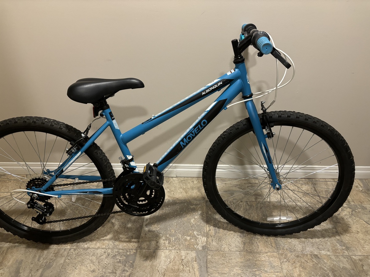Huffy Algonquin twenty four
