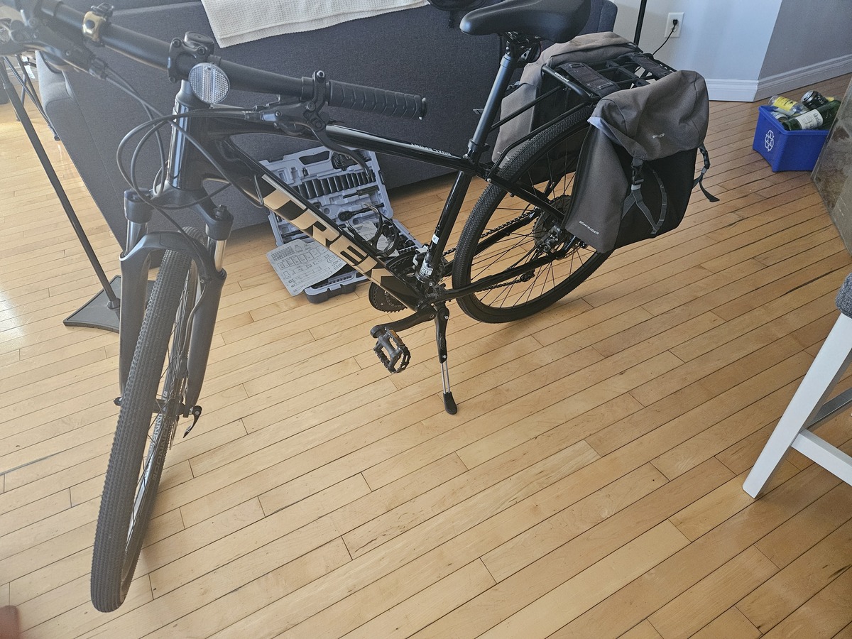 Trek Dual Sport 2