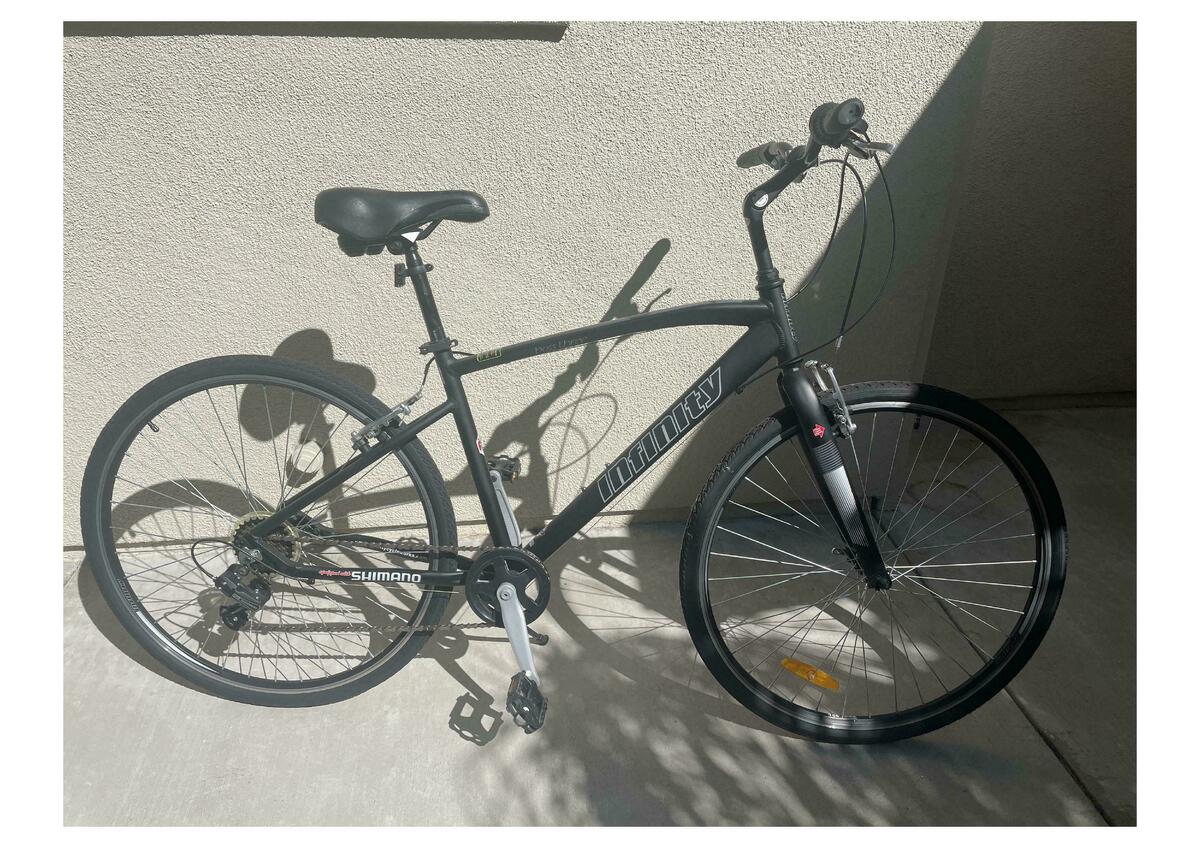 2021 Infinity Cycle Works Infinity Boss 3 700c