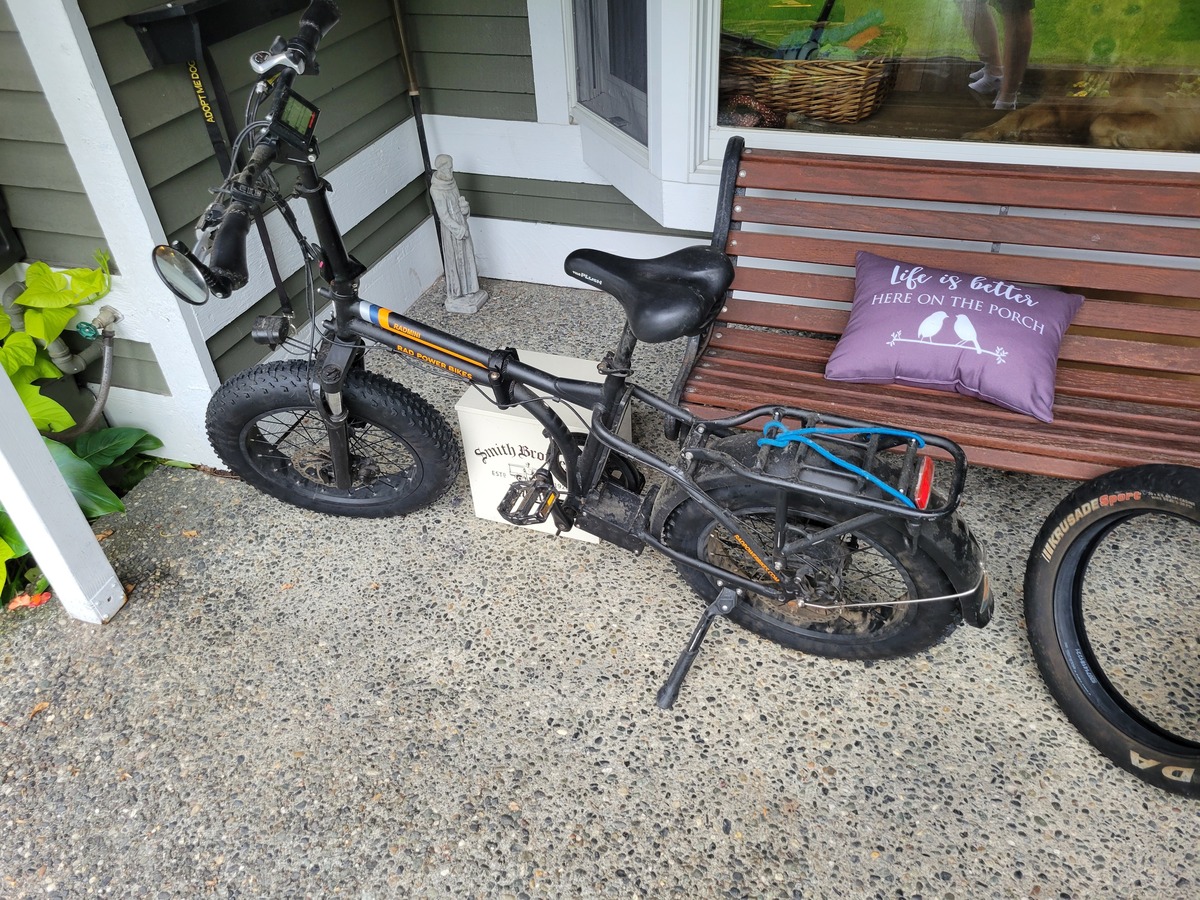 Rad Power Bikes Mini