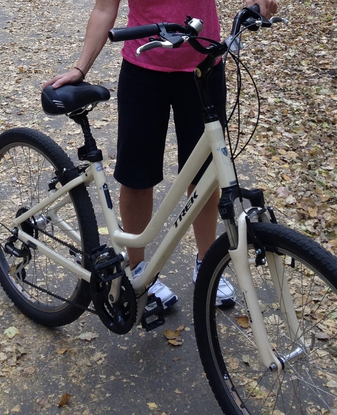 Stolen 2014 Trek Shift 2