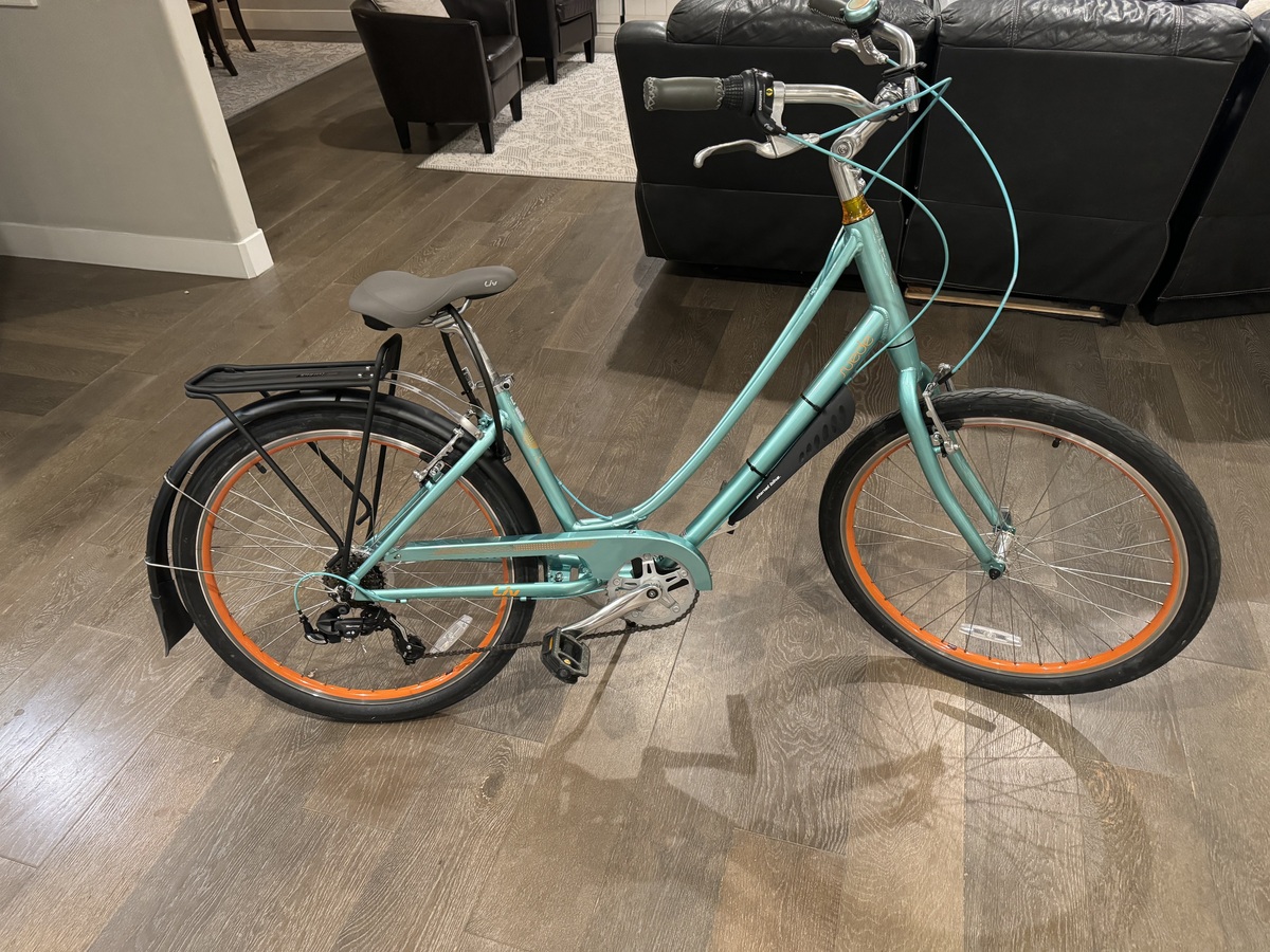 2020 Giant Suede