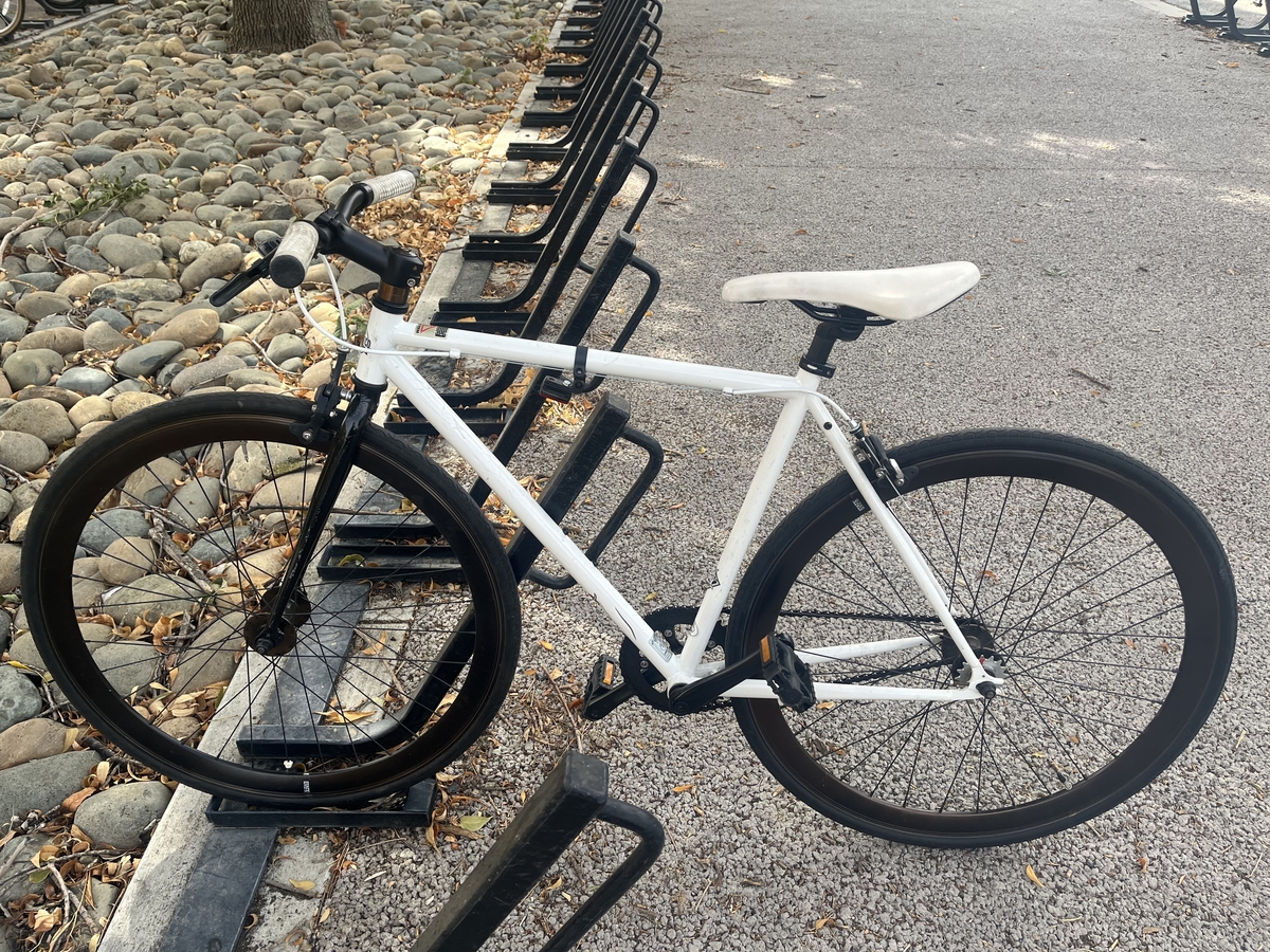 2024 State Bicycle Co. Core-line Ghoul