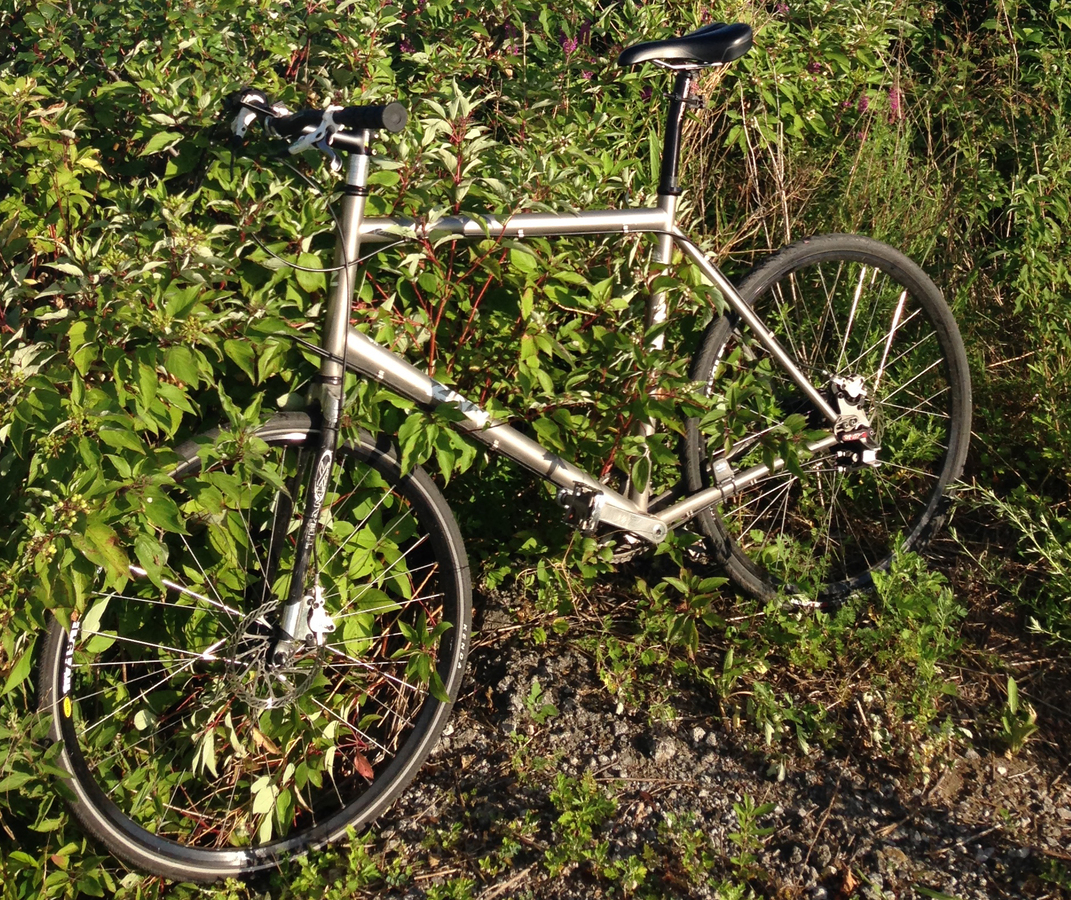 Zinn Cycles Custom Big