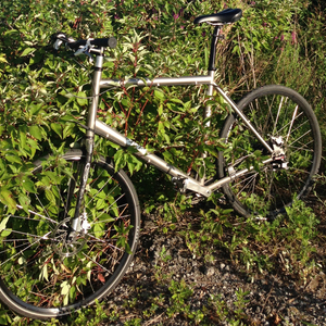 Zinn Cycles Custom Big