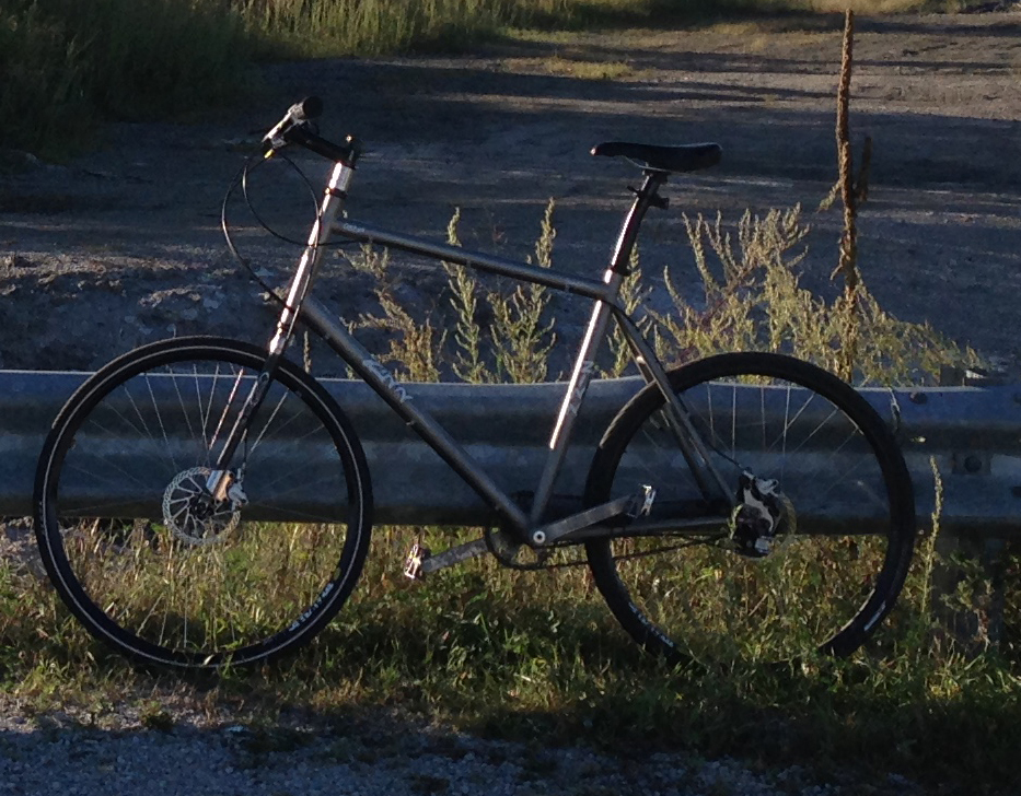 Zinn Cycles Custom Big