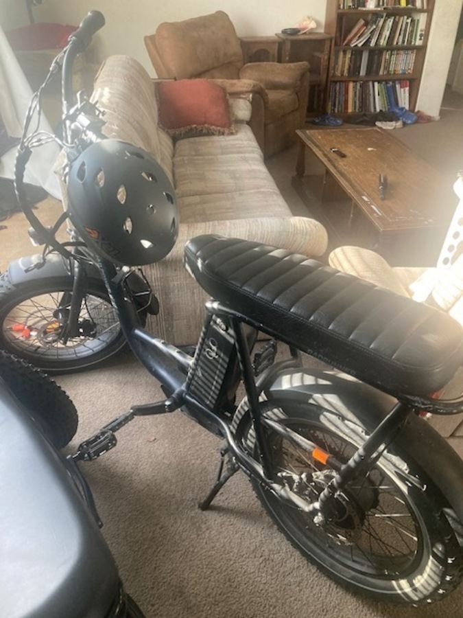 2022 Rad Power Bikes Rad Runner 2