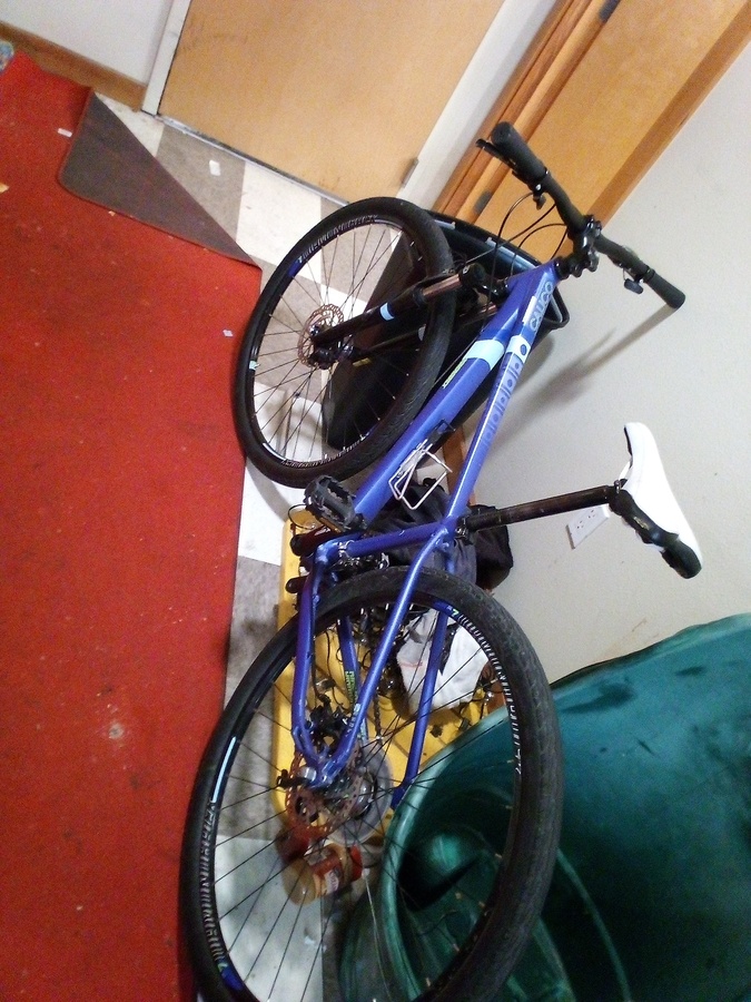 2024 Diamondback Calico