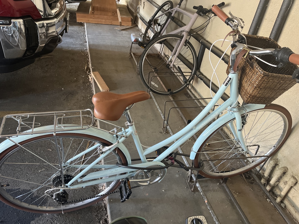 Retrospec Beaumont city bike frame