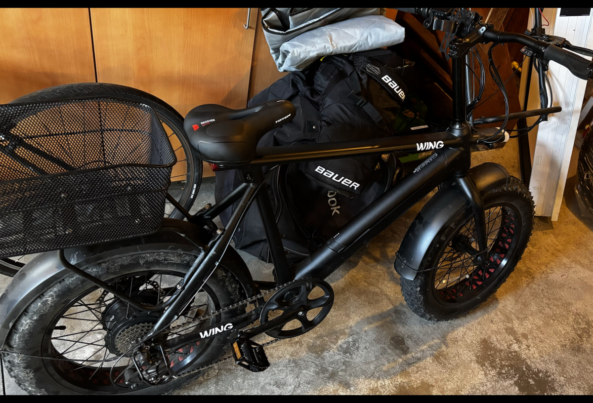 2022 Wing Bikes Freedom Fatty 2