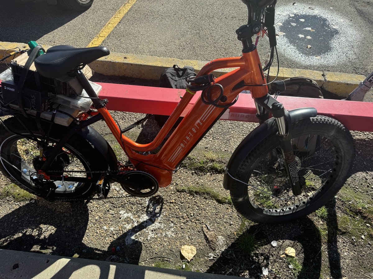 2023 Biktrix Stunner x Step through